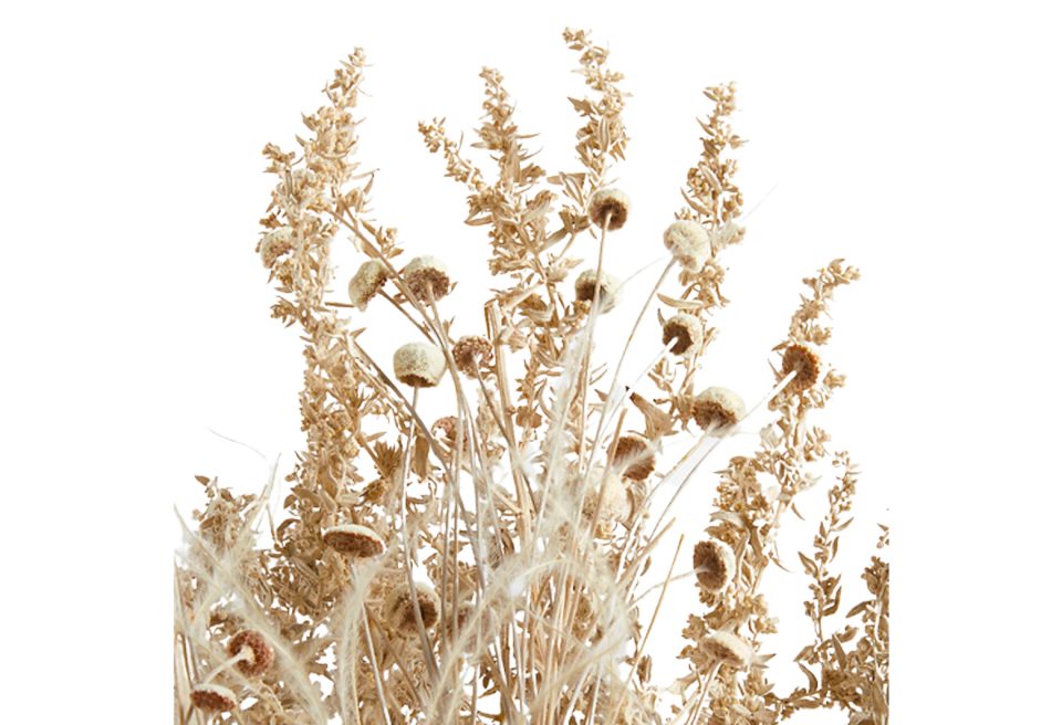 10 Gorgeous Dried Flower Arrangements We Love | Havenly Blog | Havenly ...