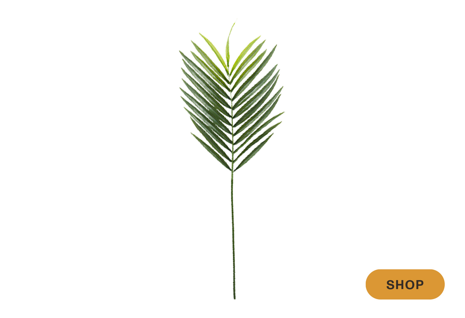 The 15 Best Faux Plants, According to Designers | Havenly Blog ...