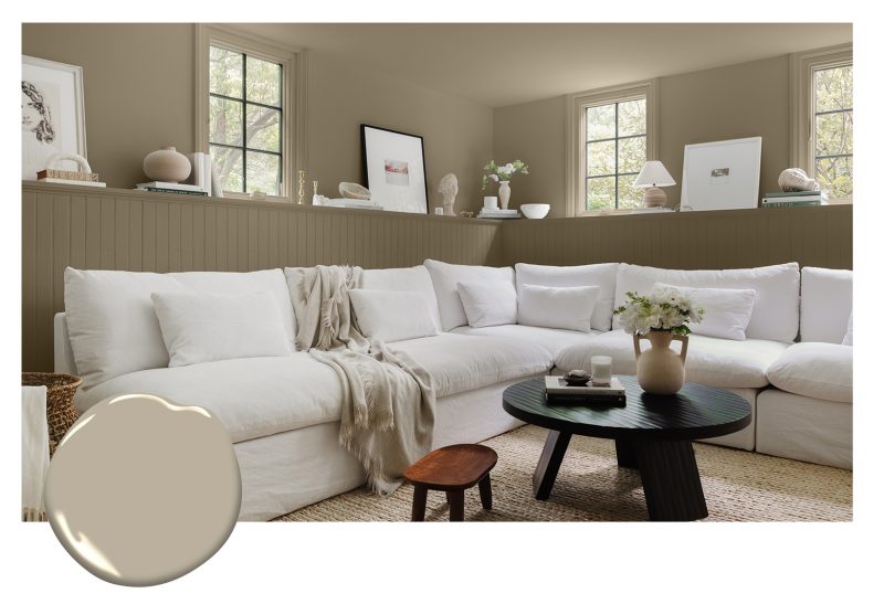 The 10 Best Brown Paint Colors Designers Love | Havenly Blog | Havenly ...