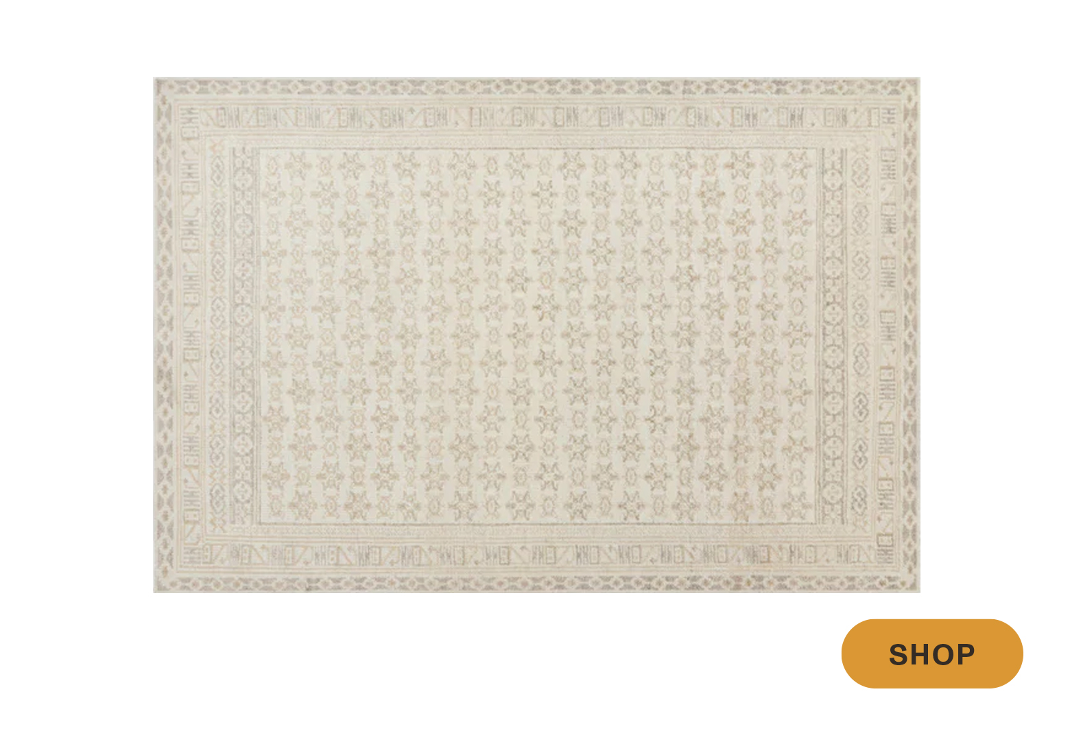 24 Best Rugs to Lay a Perfect Foundation for Your Space | Havenly ...