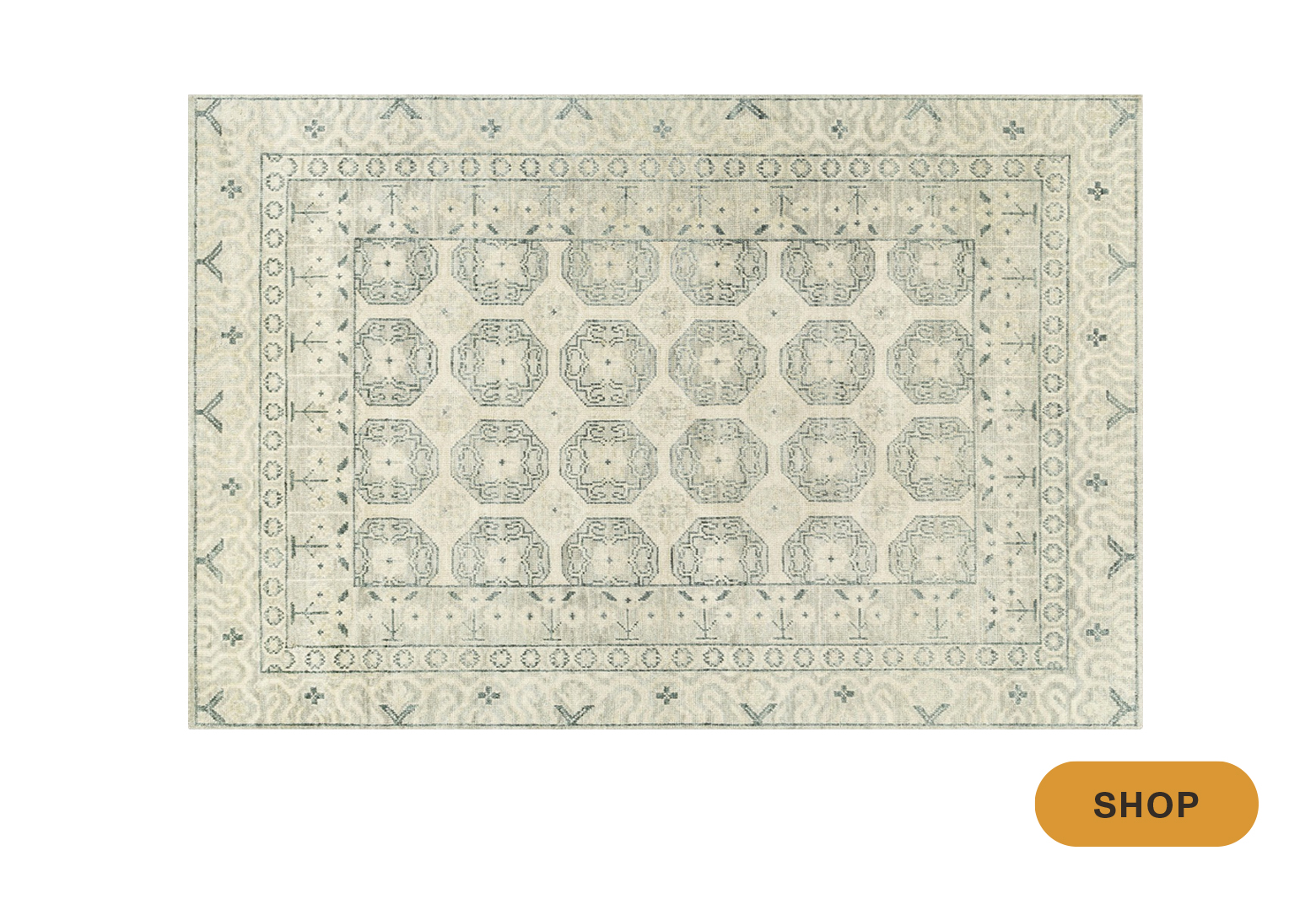 24 Best Rugs to Lay a Perfect Foundation for Your Space | Havenly ...