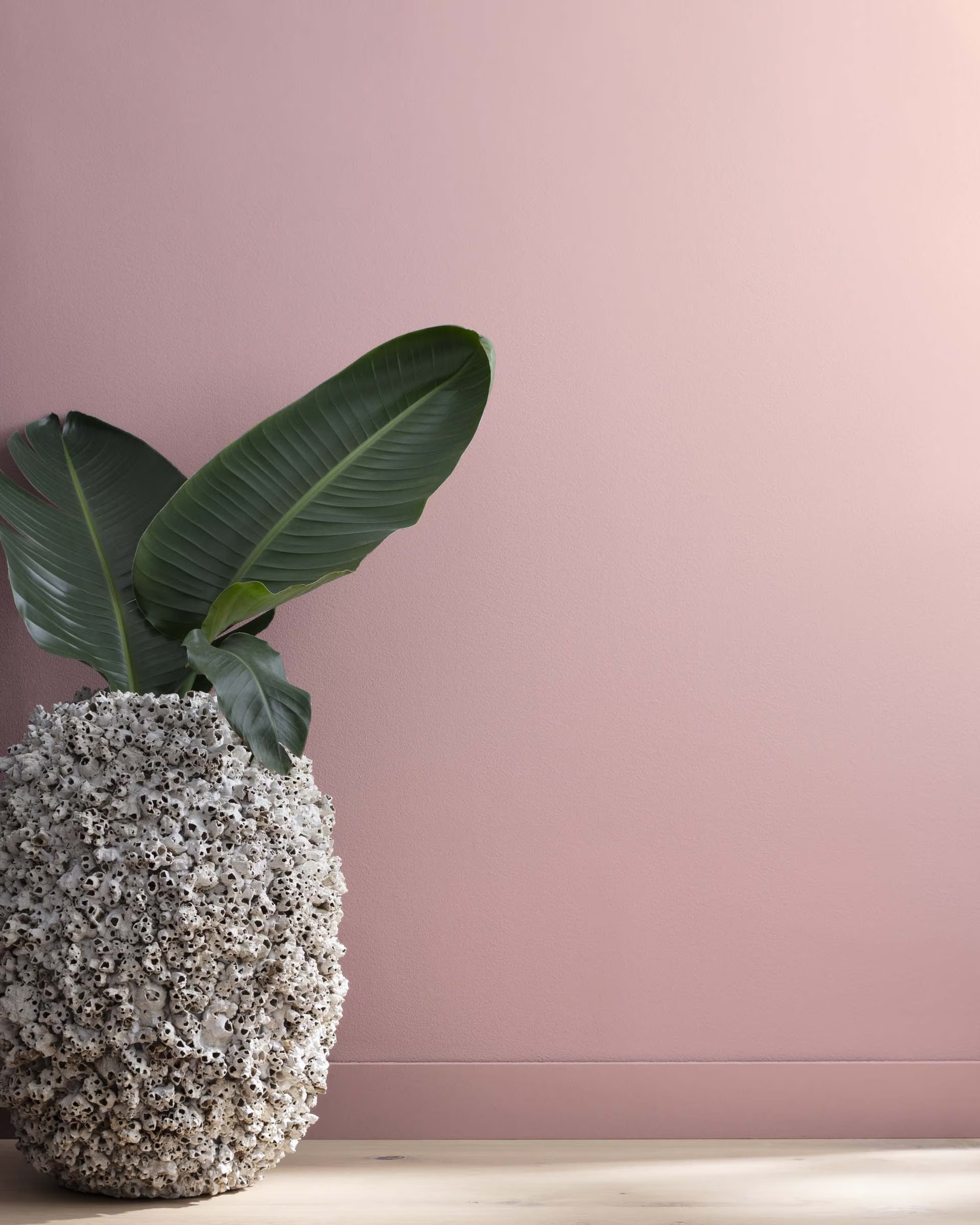 20 Pink Paint Colors Interior Designers Love | Havenly Blog | Havenly ...